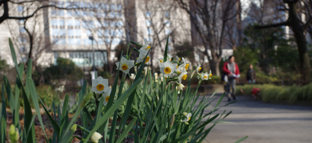 09042 – 新宿中央公園
